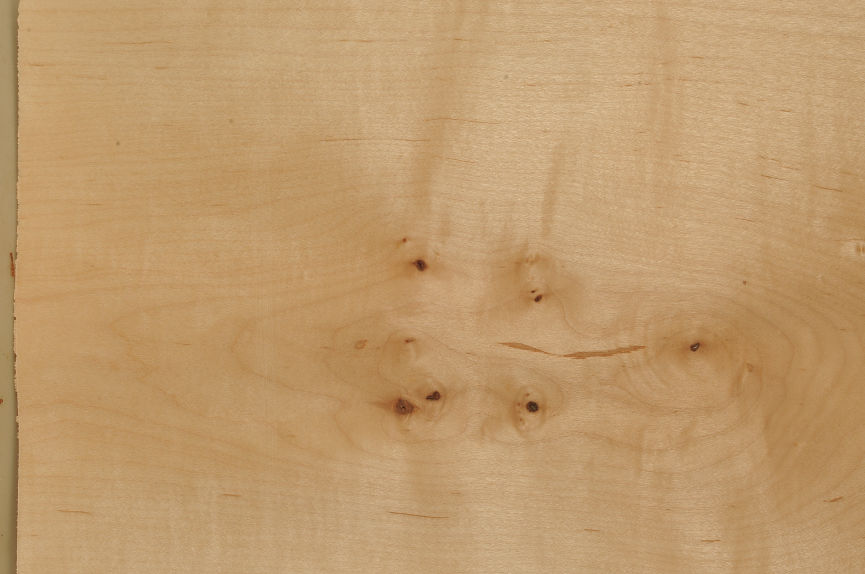 Door - Species - Rustic Maple - Marquis Cabinets